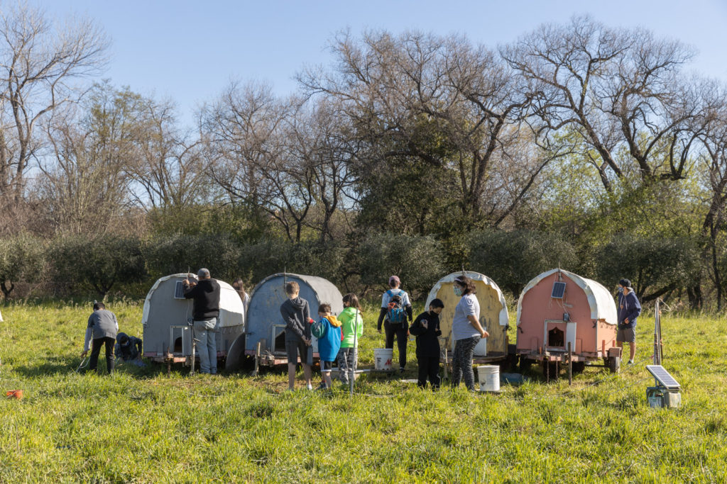 LandPaths: Fostering a love of the land, one camper at a time ...