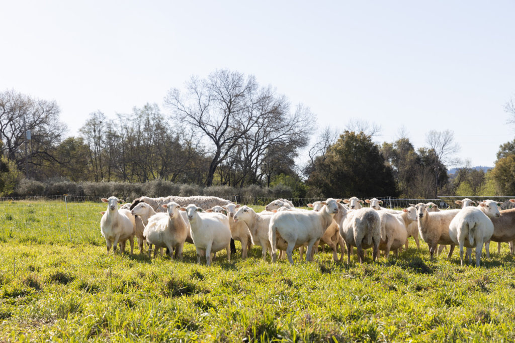 LandPaths: Fostering a love of the land, one camper at a time ...