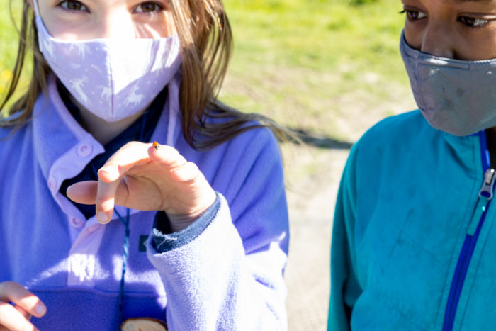 LandPaths: Fostering a love of the land, one camper at a time ...